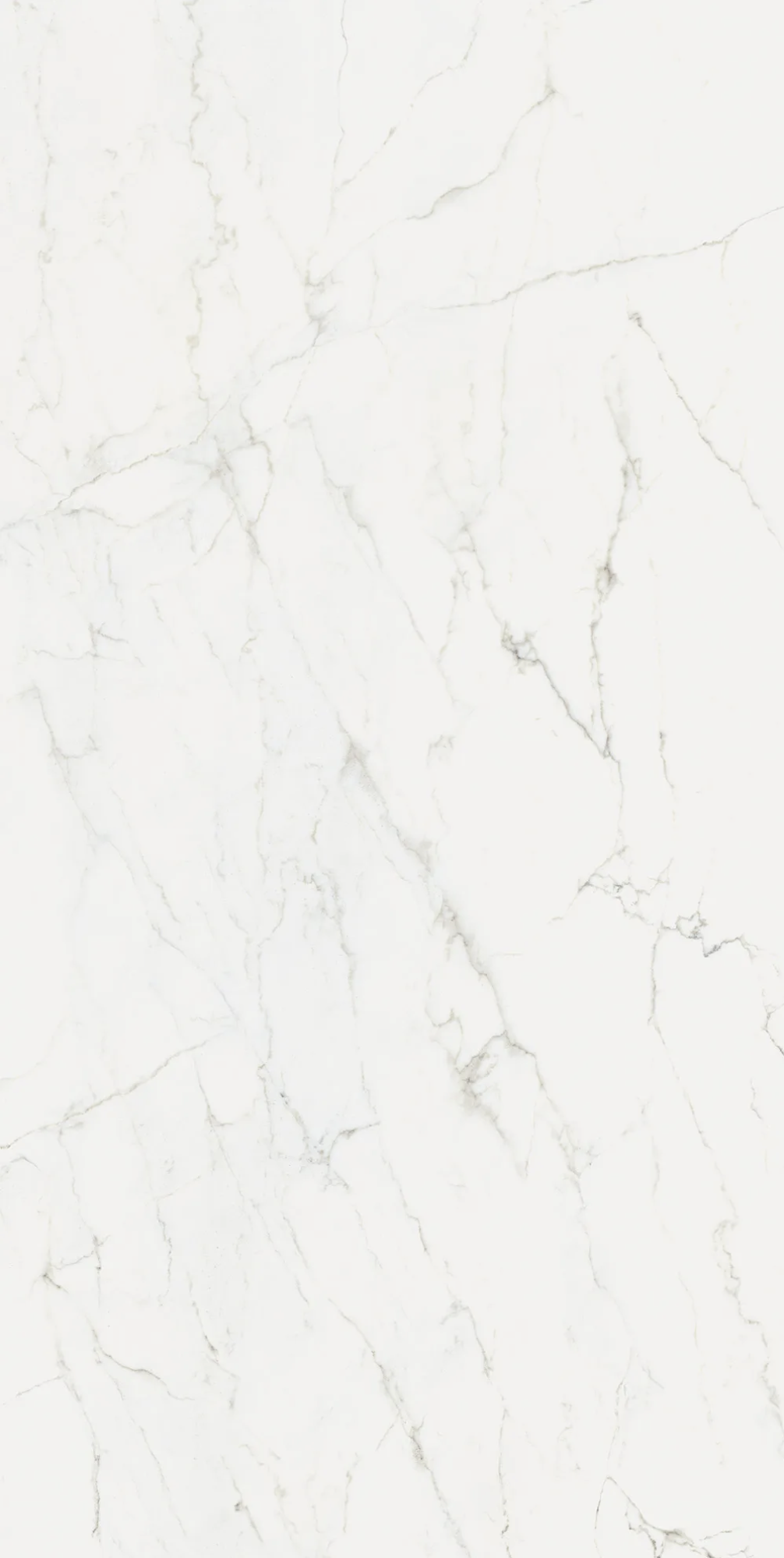 Calacatta Glory Infinity Porcelain Slab - Jac Elan